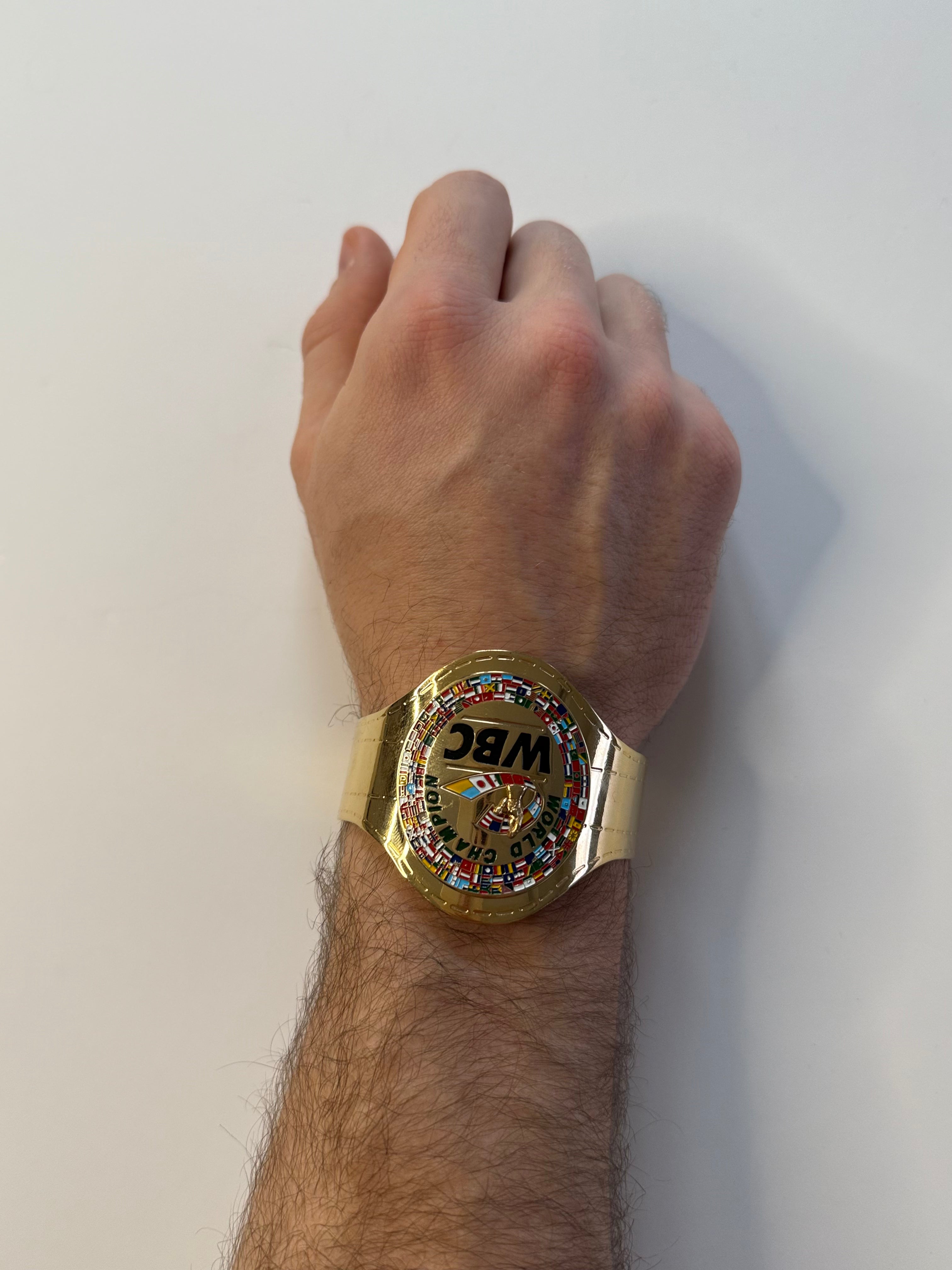 Metallic World Champion Bracelet – WBC Store UK
